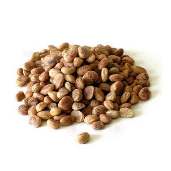 Charoli Seeds