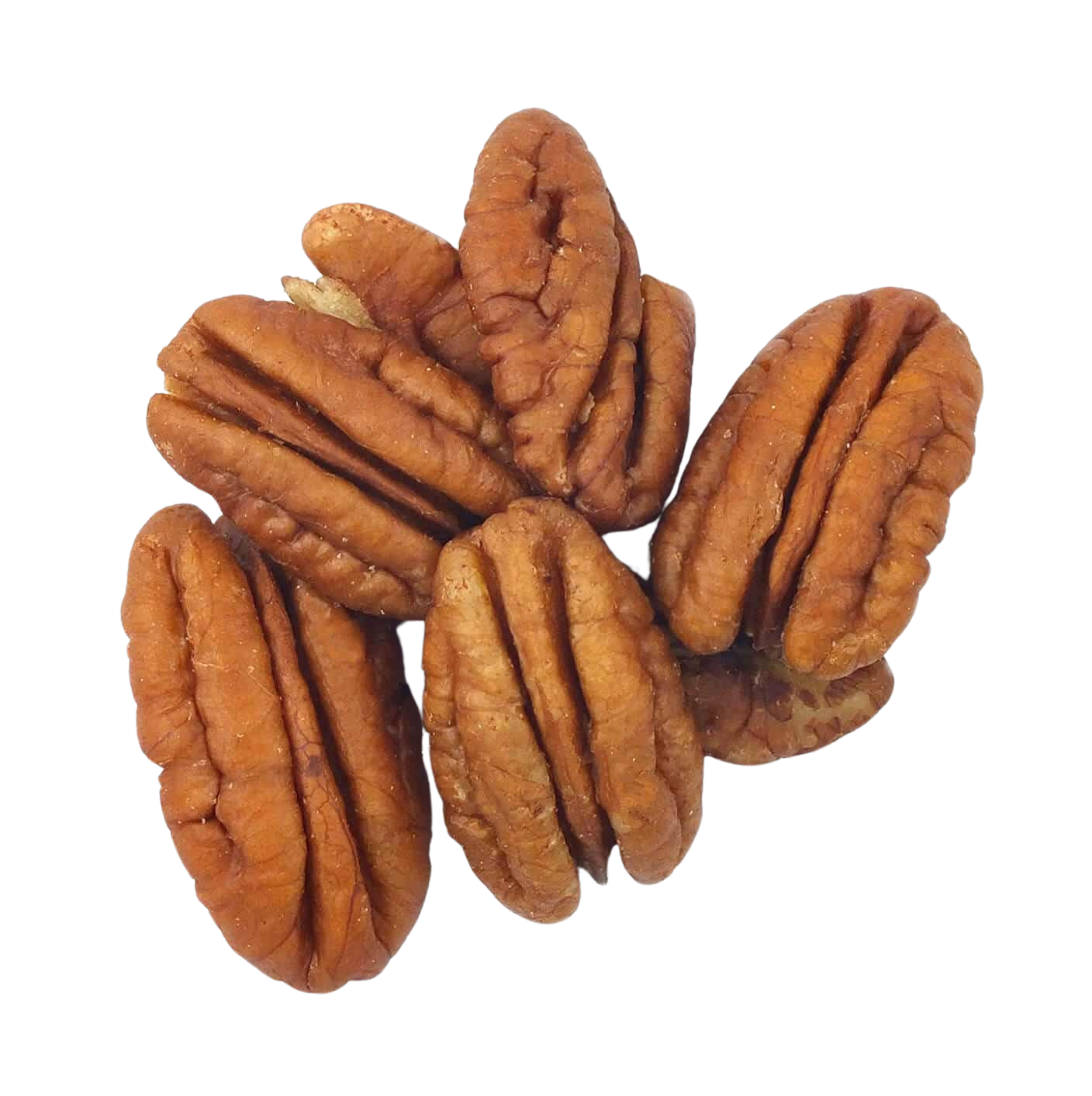 Exotic American Pecan Nuts